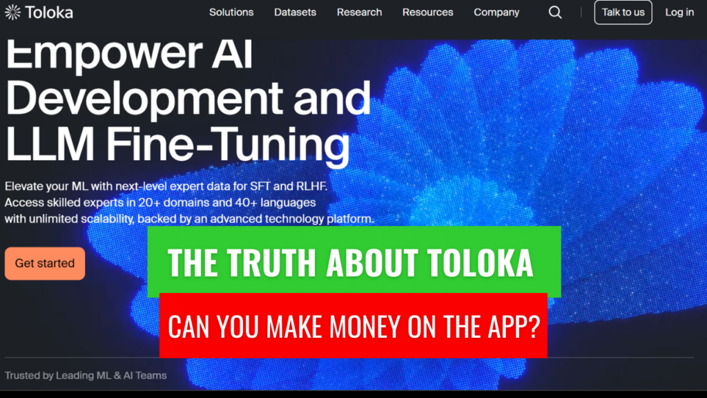 The Truth About Toloka: Can You Really Make Money on The App? - Joon ...